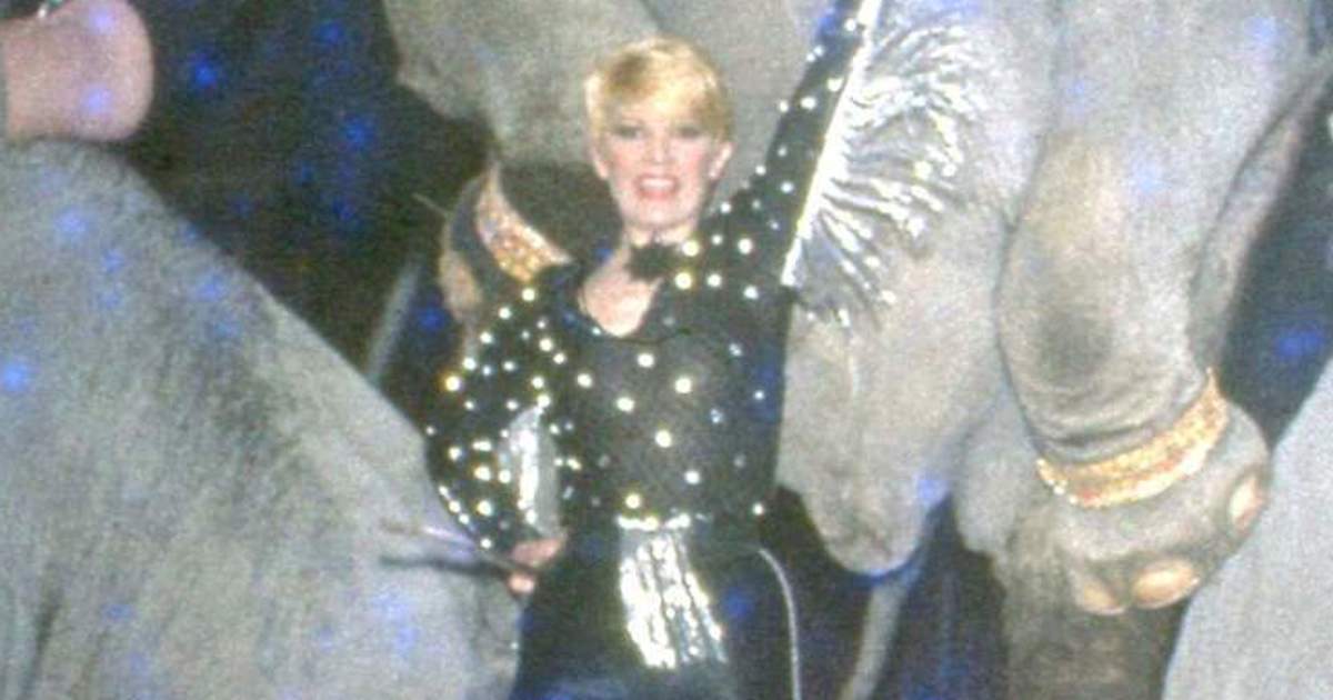 Tres elefantes, cientos de vecinos y muy nerviosa, así fue el debut de ...