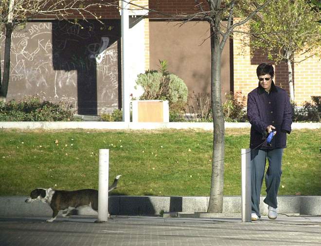 La dramática lucha de Eva Nasarre, la mujer que nos puso a hacer ...