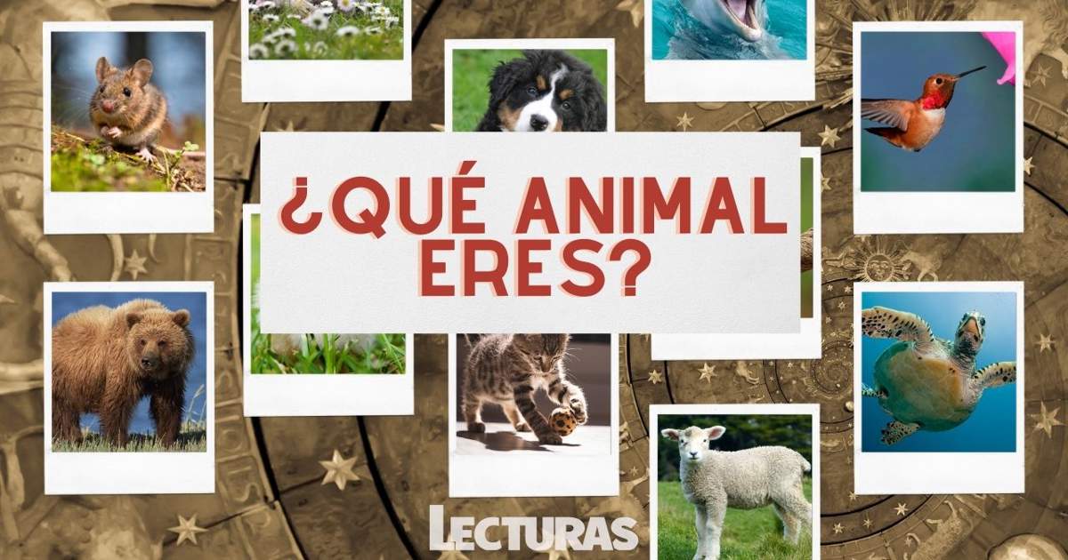 Animal de cada signo zodiacal 60 photos - Astrologytoyou.com