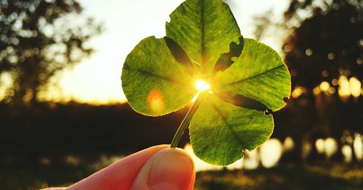 75 frases cortas para desear buena suerte y éxito a una persona especial